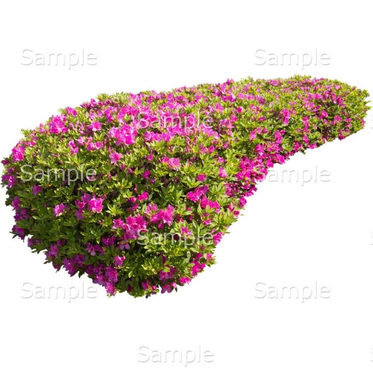 低木素材 – ページ 3 – sozaiya.com