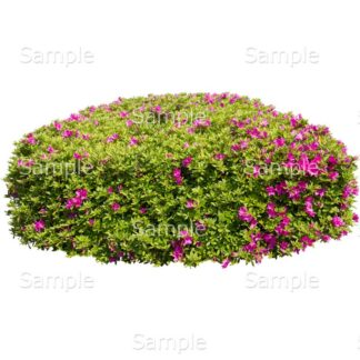 tsu_073 – sozaiya.com