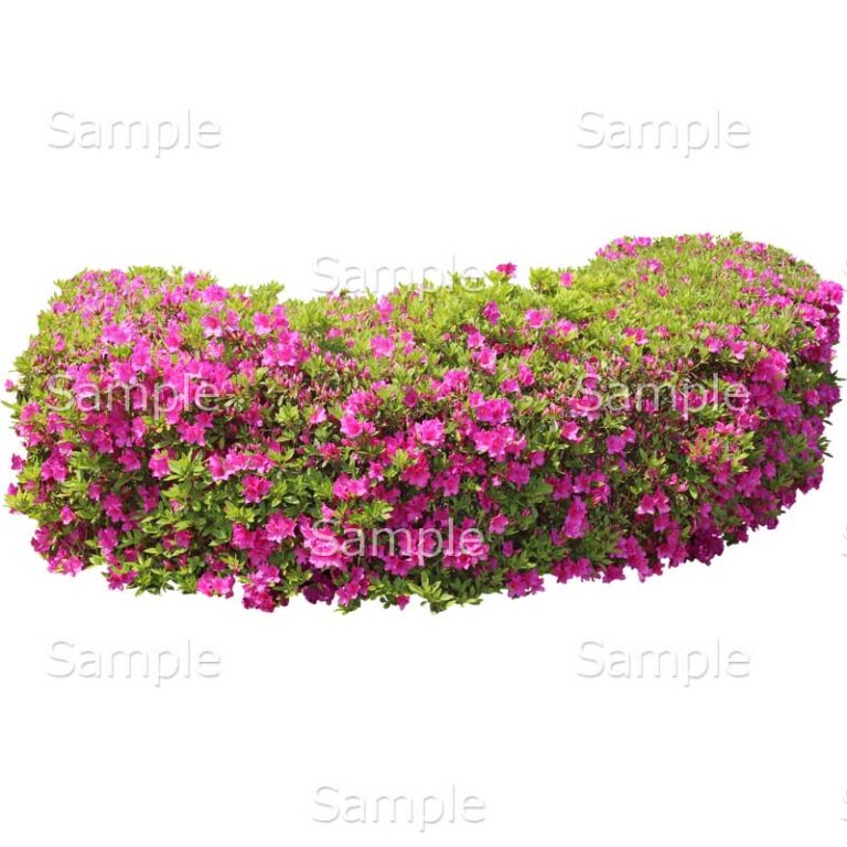 低木素材 – sozaiya.com