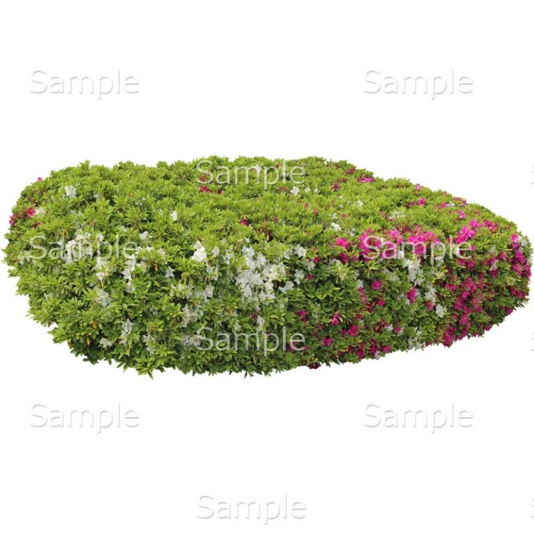 低木素材 – sozaiya.com