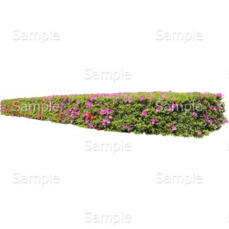 tsu_080 – sozaiya.com