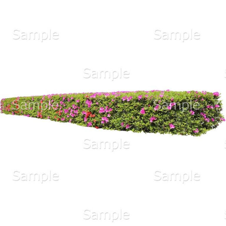 tsu_080 – sozaiya.com