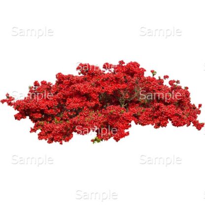 L1012 – sozaiya.com