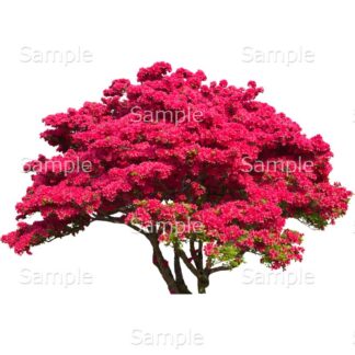 tsu_088 – sozaiya.com