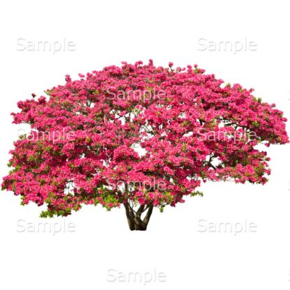 tsu_089 – sozaiya.com