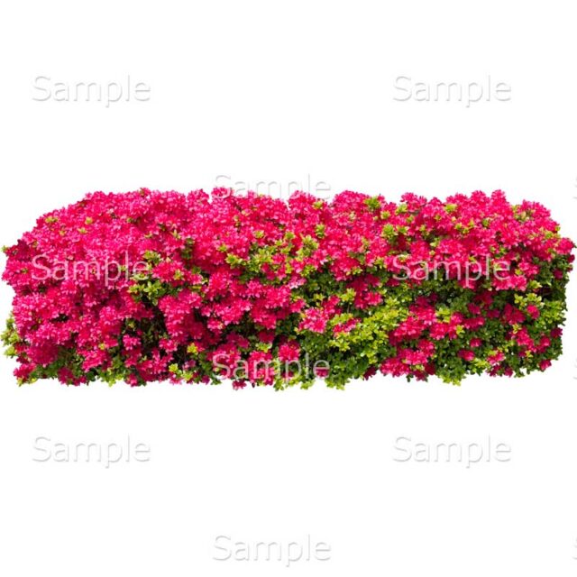 tsu_090 – sozaiya.com