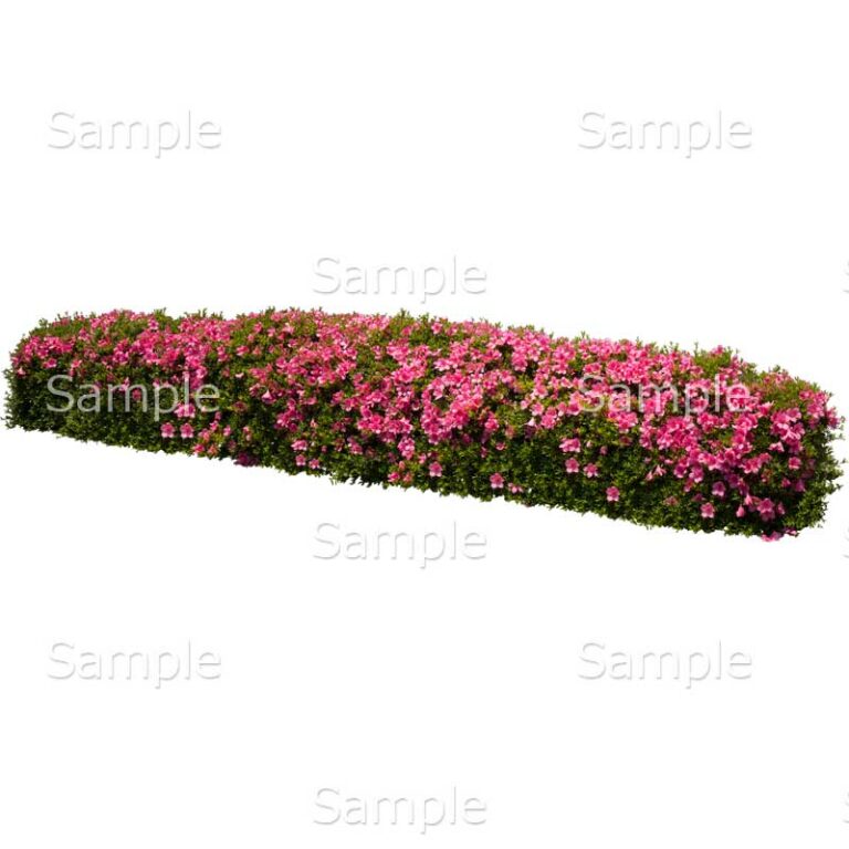 低木素材 – ページ 2 – sozaiya.com