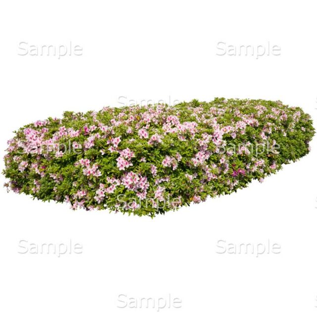 tsu_103 – sozaiya.com