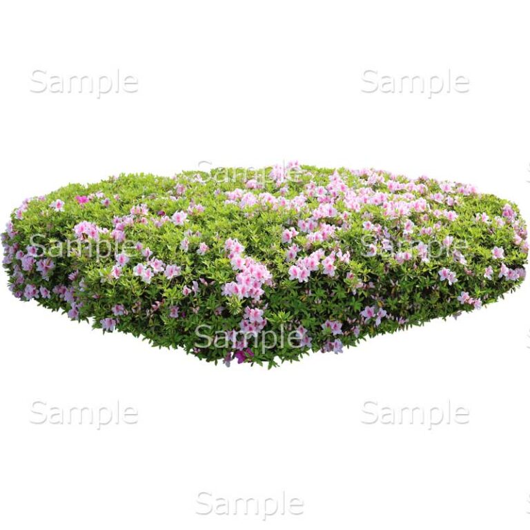 低木素材 – ページ 3 – sozaiya.com