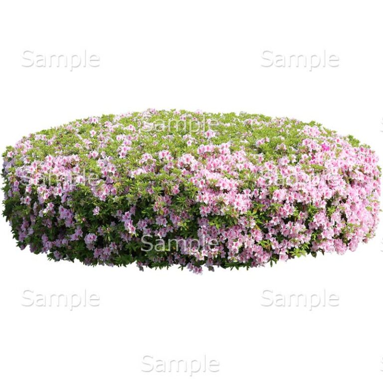 低木素材 – sozaiya.com