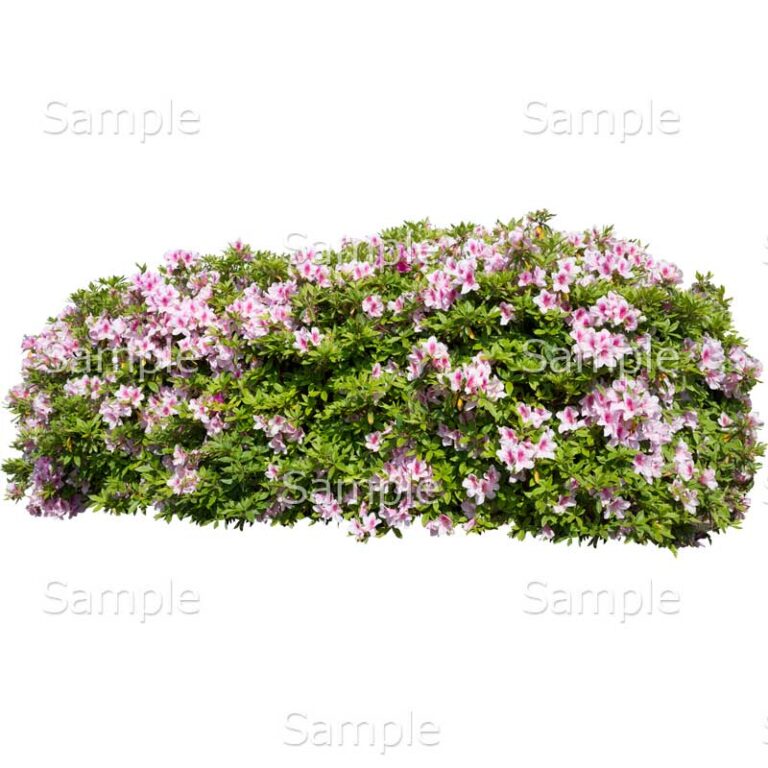 低木素材 – sozaiya.com