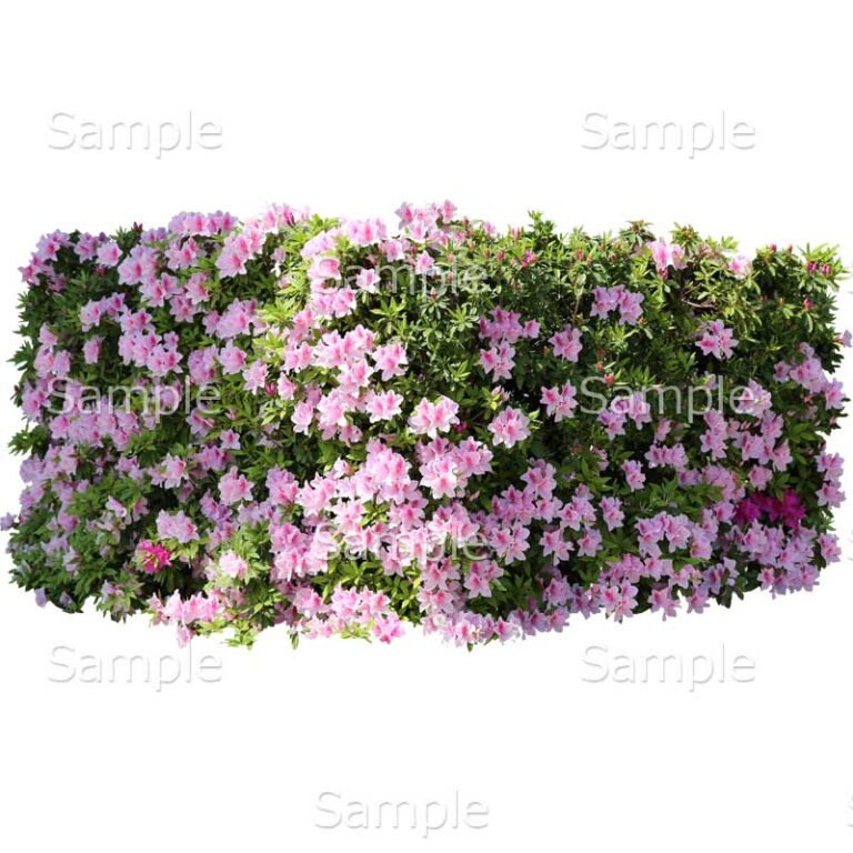 L1012 – sozaiya.com