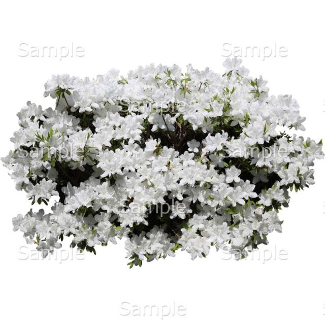 tsu_112 – sozaiya.com