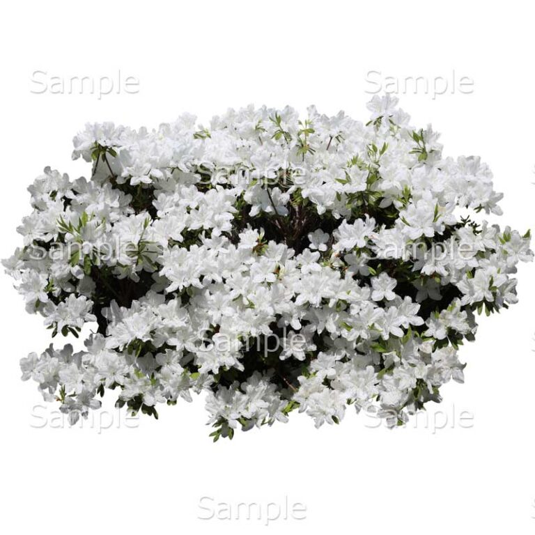 L1022 – sozaiya.com