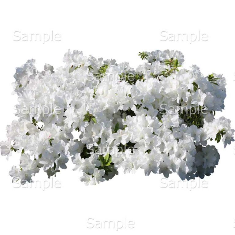 tsu_114 – sozaiya.com