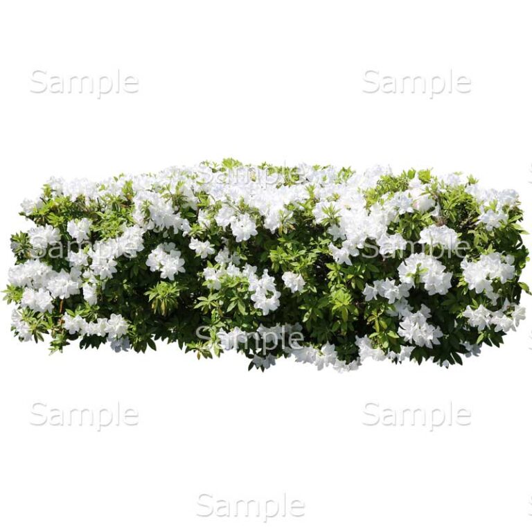 L1012 – sozaiya.com