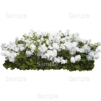 L1022 – sozaiya.com