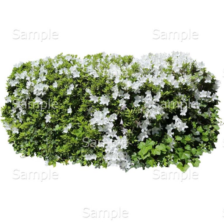 低木素材 – sozaiya.com