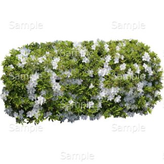 tsu_120 – sozaiya.com