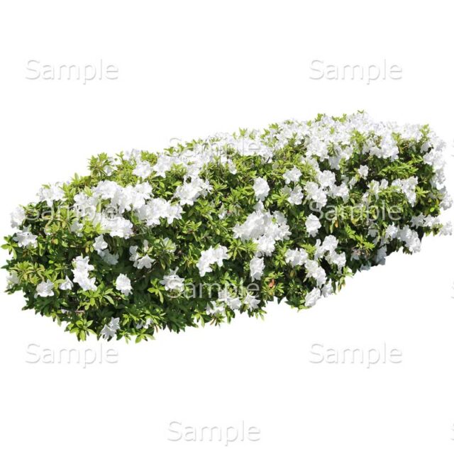 tsu_121 – sozaiya.com