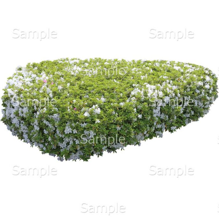 低木素材 – sozaiya.com