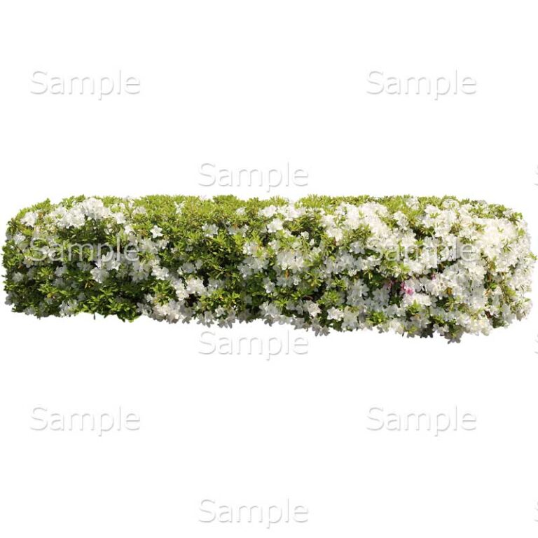 低木素材 – sozaiya.com