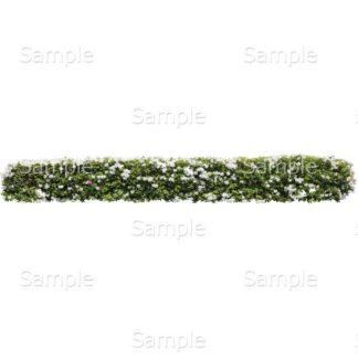 L1012 – sozaiya.com