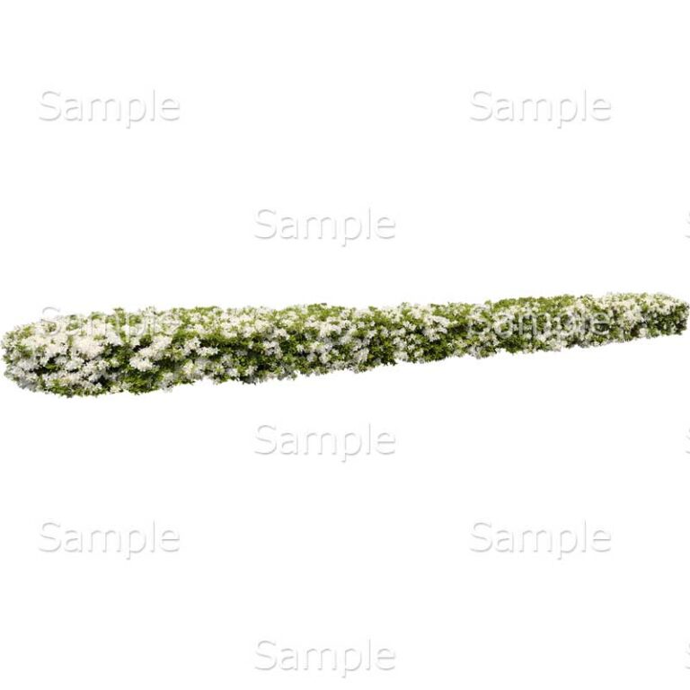 低木素材 – sozaiya.com