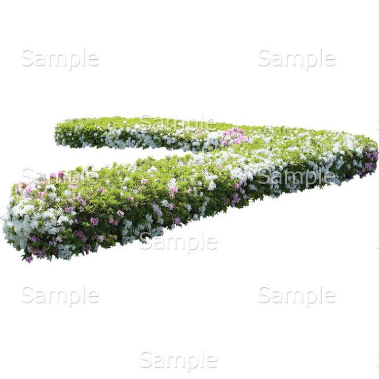 低木素材 – ページ 3 – sozaiya.com