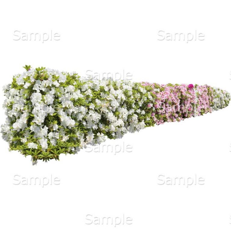 L1009 – sozaiya.com