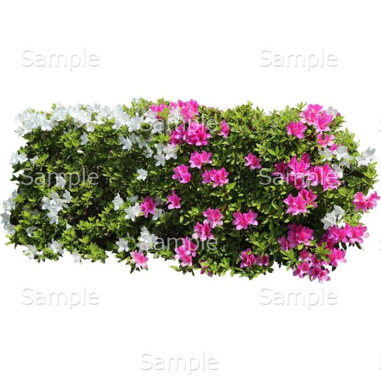 低木素材 – sozaiya.com