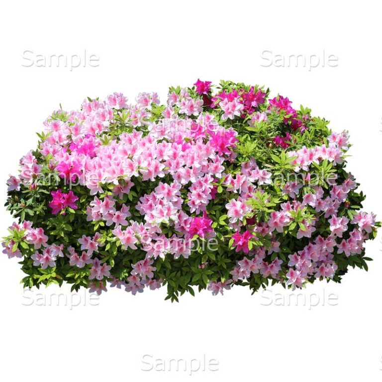 低木素材 – sozaiya.com