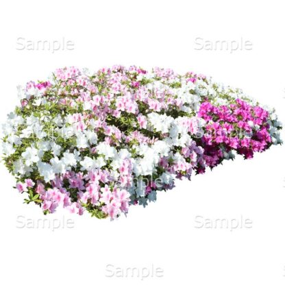 tsu_136 – sozaiya.com