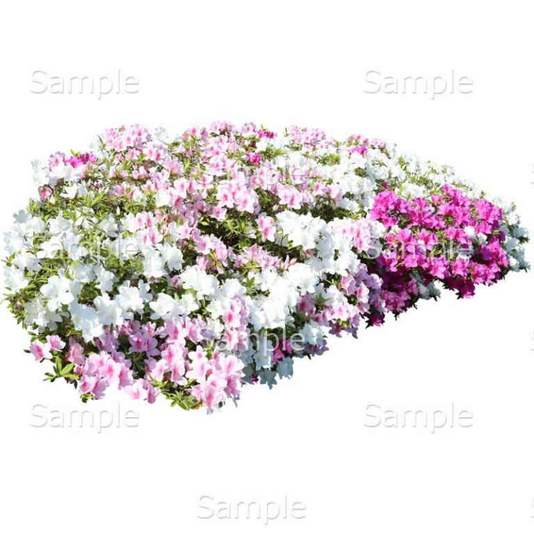 低木素材 – sozaiya.com