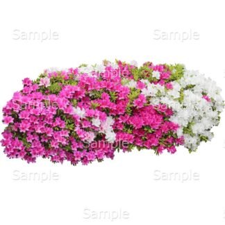 L1012 – sozaiya.com