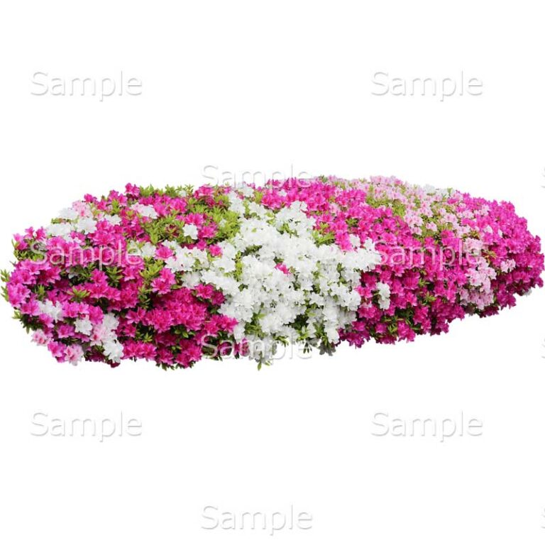 低木素材 – sozaiya.com