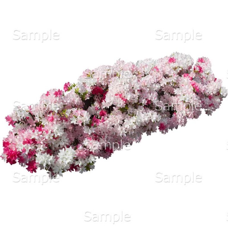 低木素材 – sozaiya.com