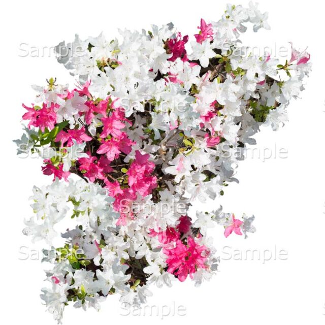 tsu_143 – sozaiya.com