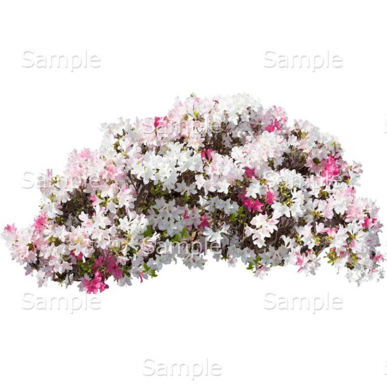 tsu_146 – sozaiya.com