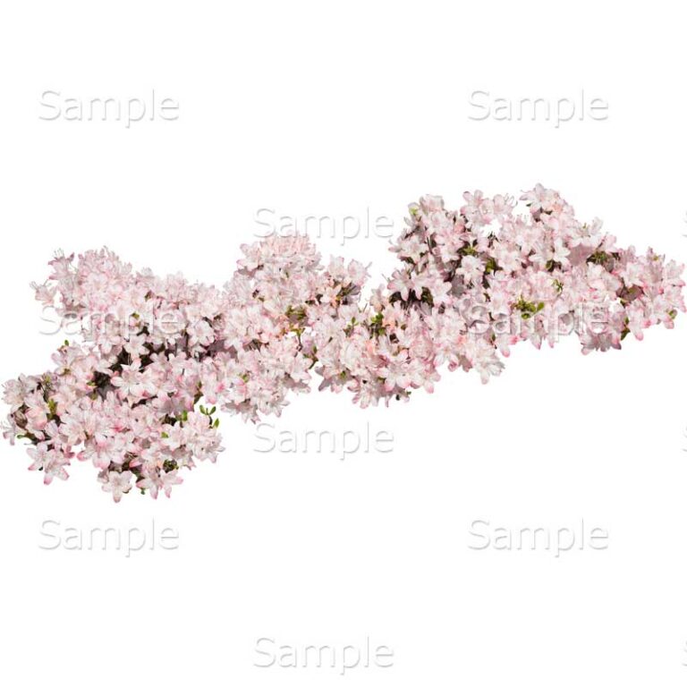 tsu_147 – sozaiya.com