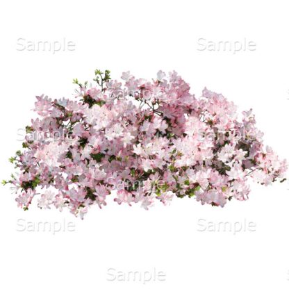 tsu_148 – sozaiya.com