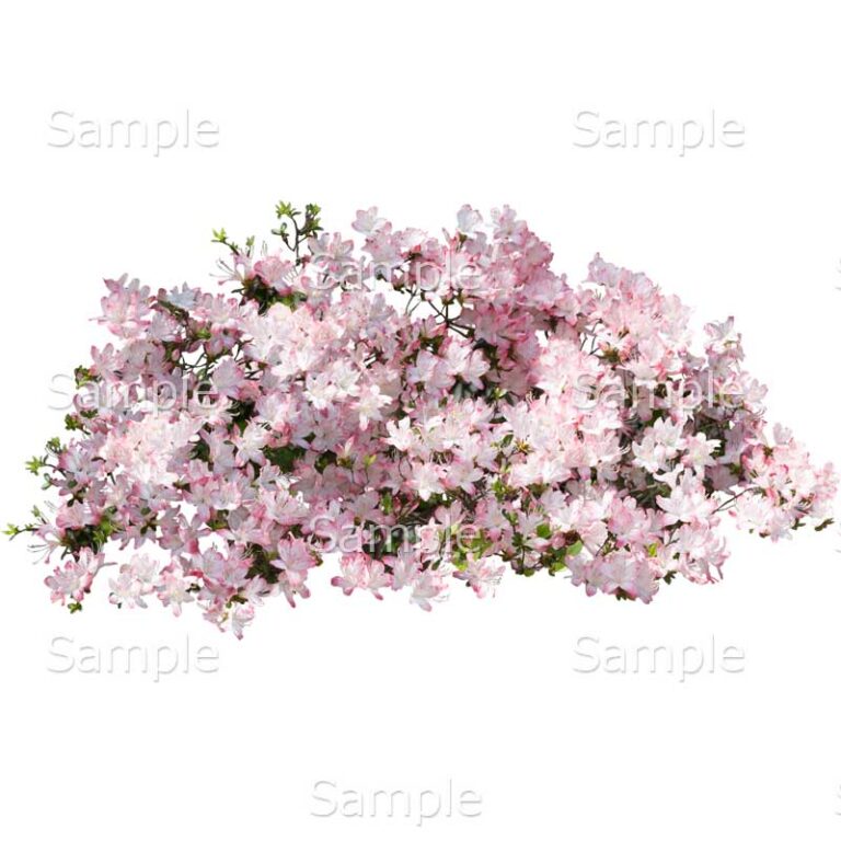 低木素材 – sozaiya.com