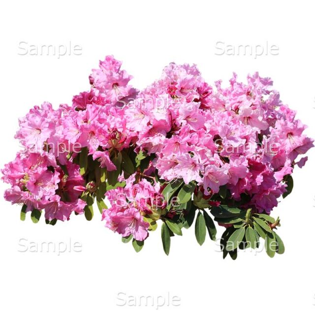 tsu_150 – sozaiya.com