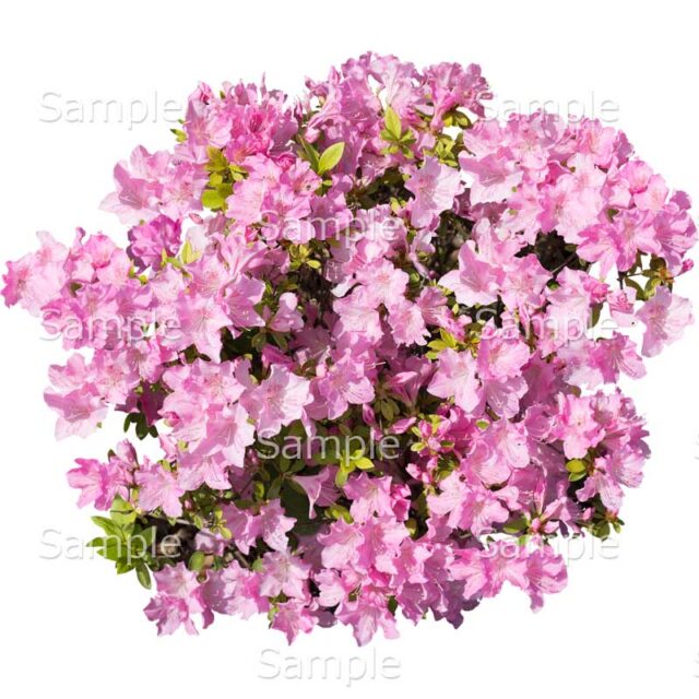 tsu_151 – sozaiya.com