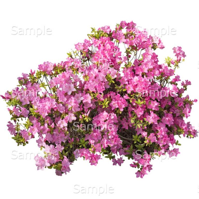 tsu_152 – sozaiya.com