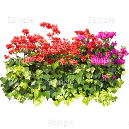 tsu_157 – sozaiya.com