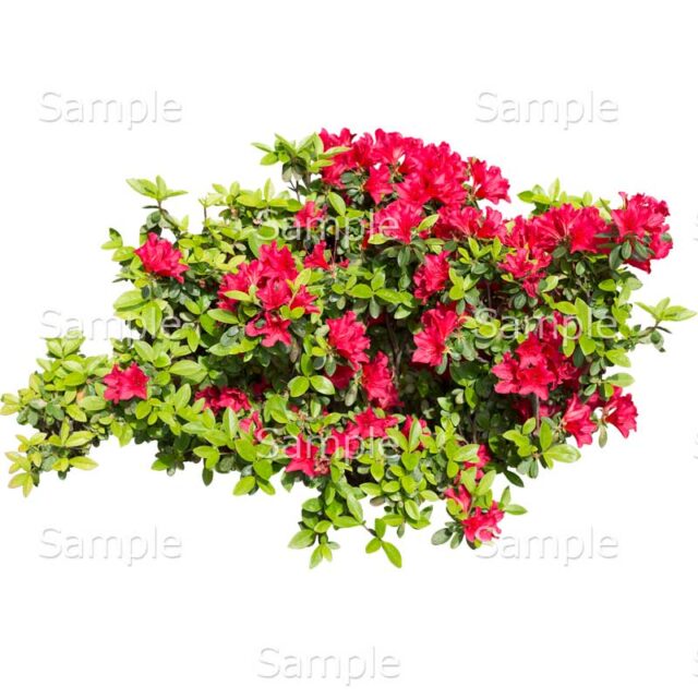 tsu_158 – sozaiya.com