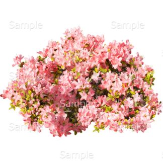 tsu_160 – sozaiya.com