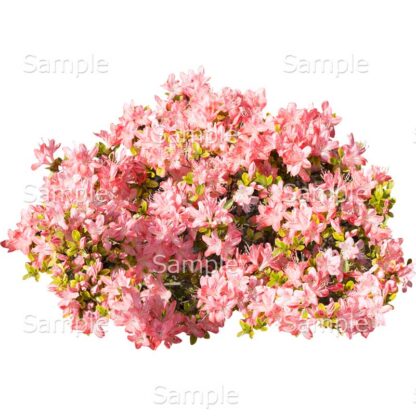 tsu_160 – sozaiya.com