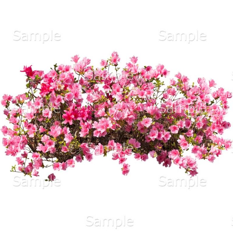 tsu_161 – sozaiya.com